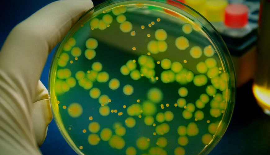 Método de prueba estándar ASTM E2799-12 para probar biopelículas de eficacia desinfectante ...