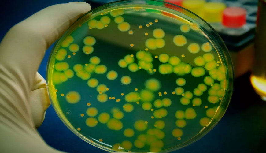 ISO 16000-20 Indoor Air - Part 20: Detection and Counting of Molds ...